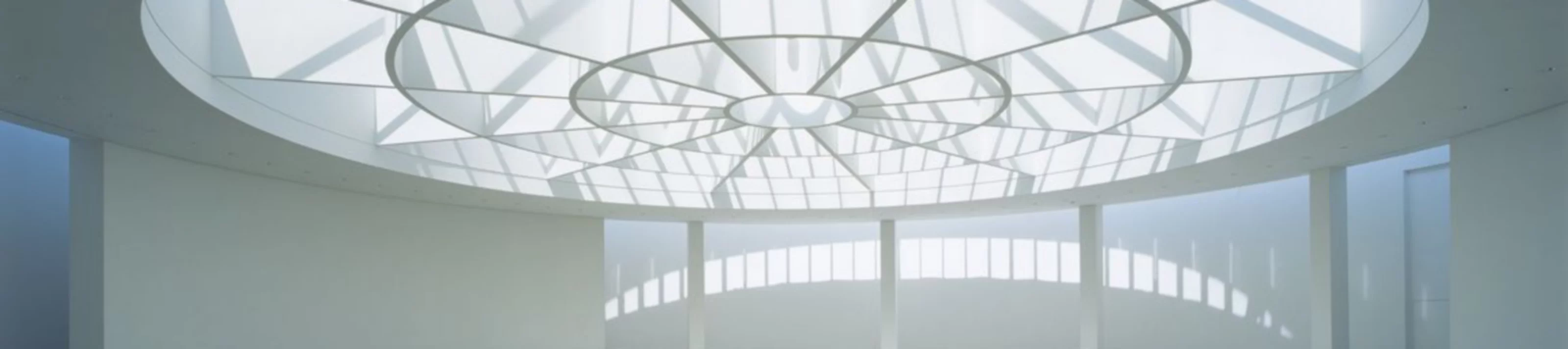 Detalii CAD - Sisteme de pereți și placări