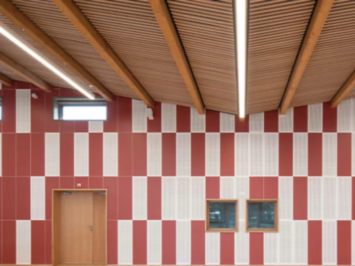 Knauf - Divisione Soffitti