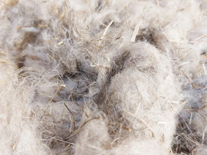 Pourquoi choisir un isolant biosourcé - isolant biosourcé knauf - Knauf