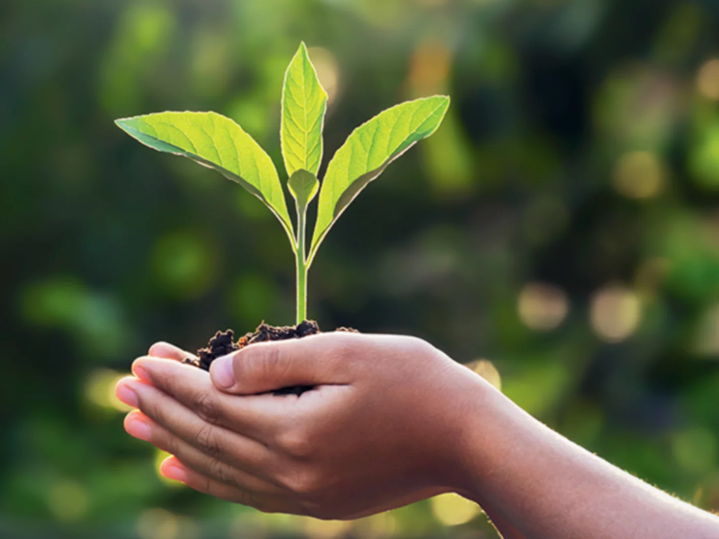 Programme de recyclage des dalles minérales - Knauf Ceiling