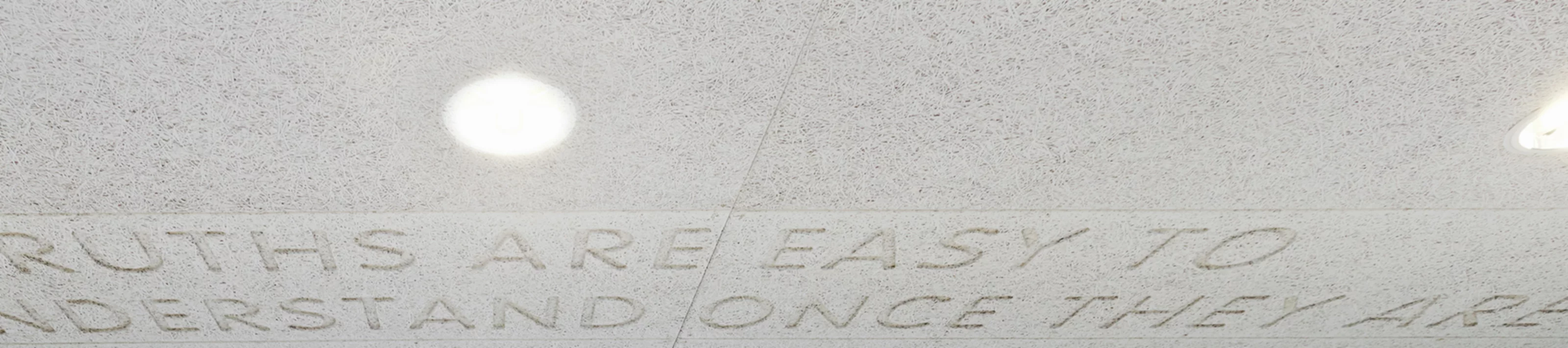 Knauf | Ceiling Systems for Every Application