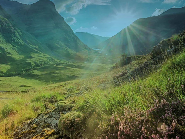 ニュース | Knauf Insulation Japan