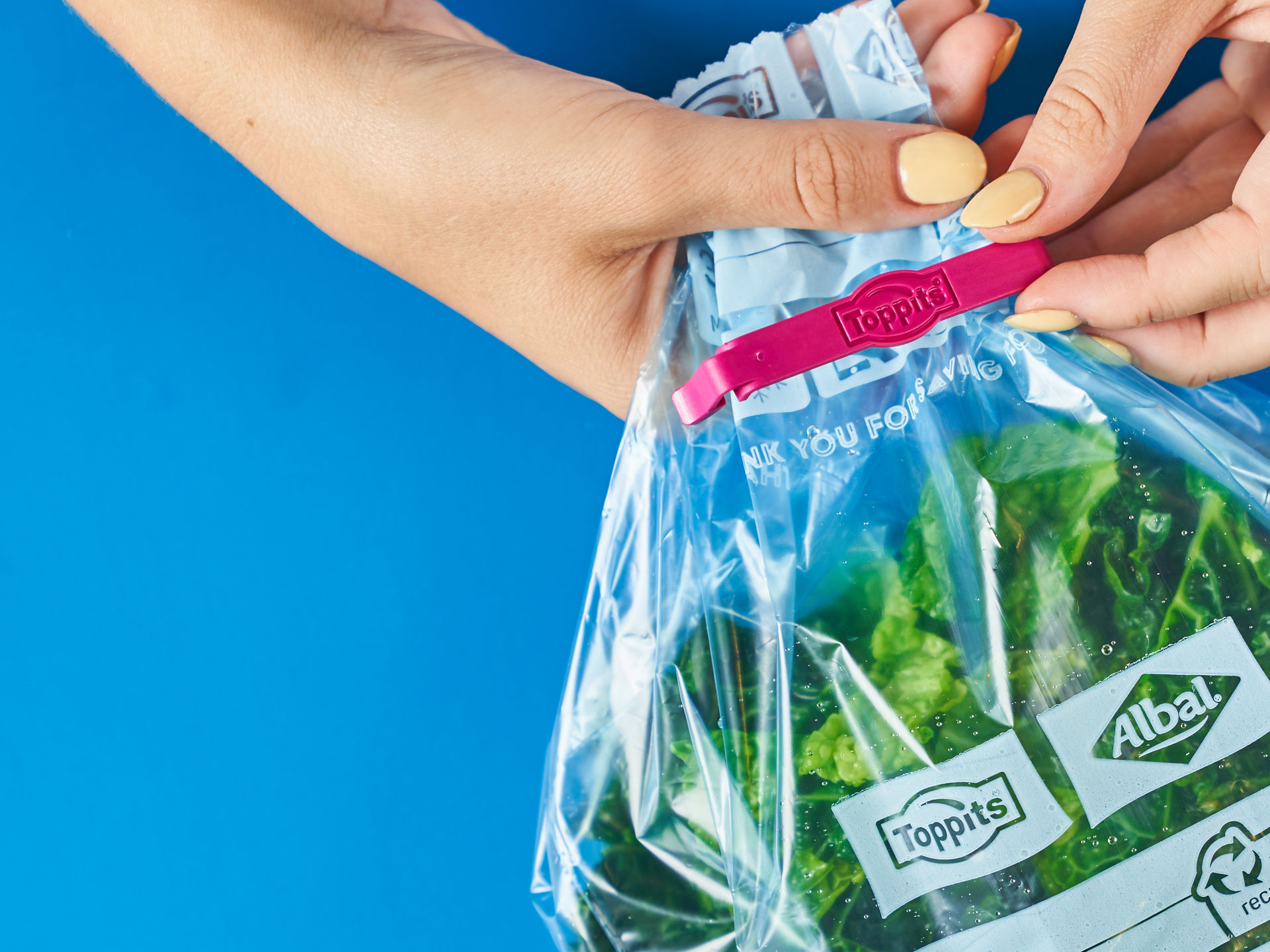 Frysning av kål: hur man håller den krispig och fräsch! | Toppits®