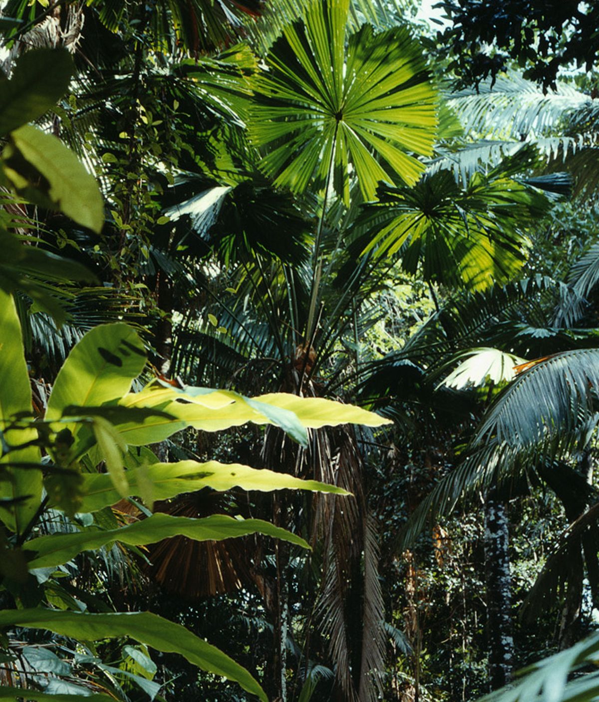 Thomas Struth | Prix Pictet