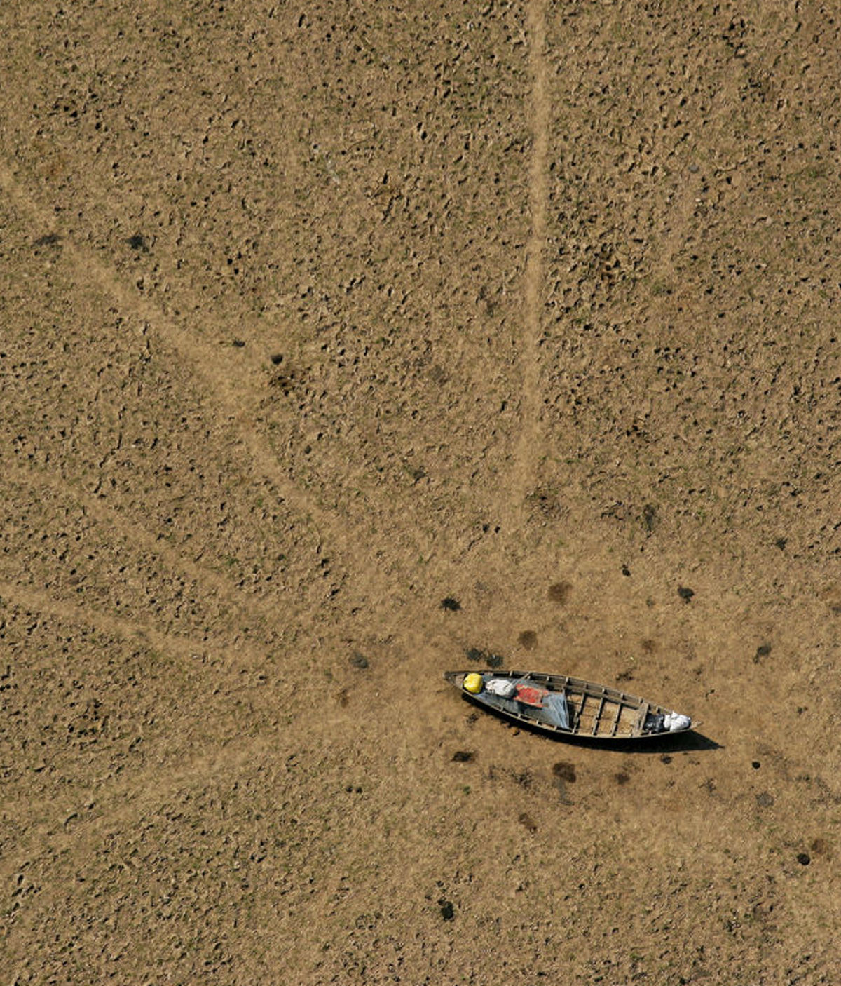 Climate change: Answers to common questions | The Pictet Group