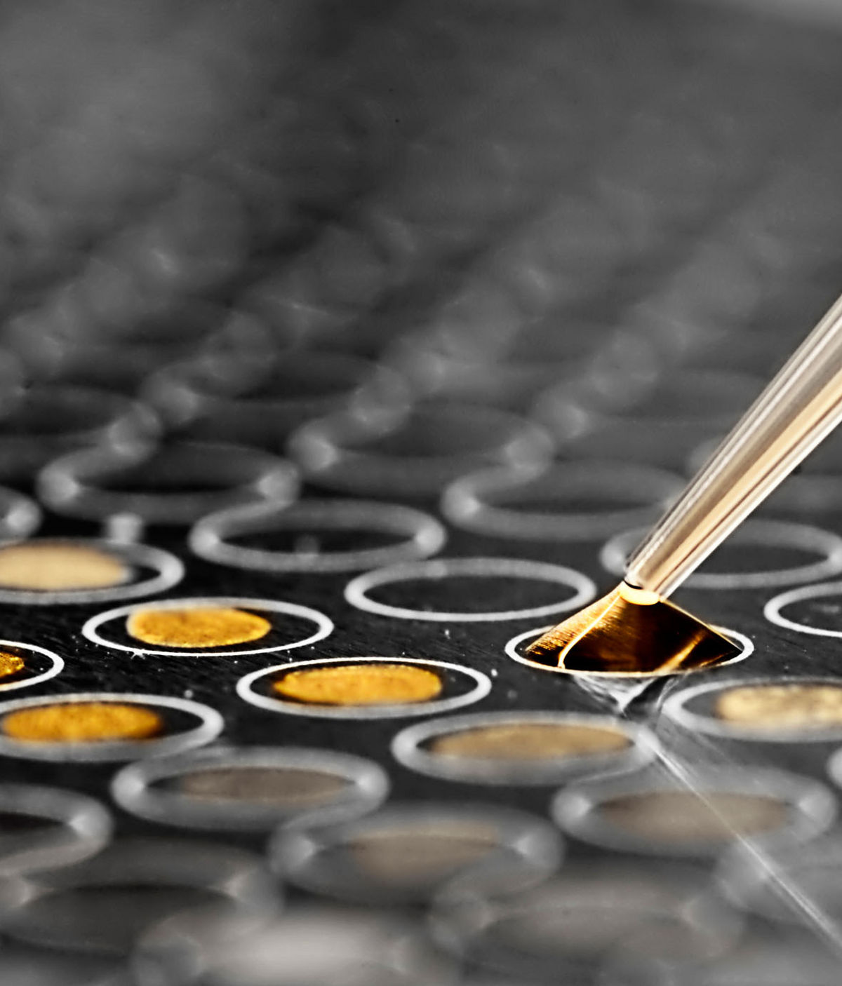 Biotech – Where investors can access the value created by medical ...