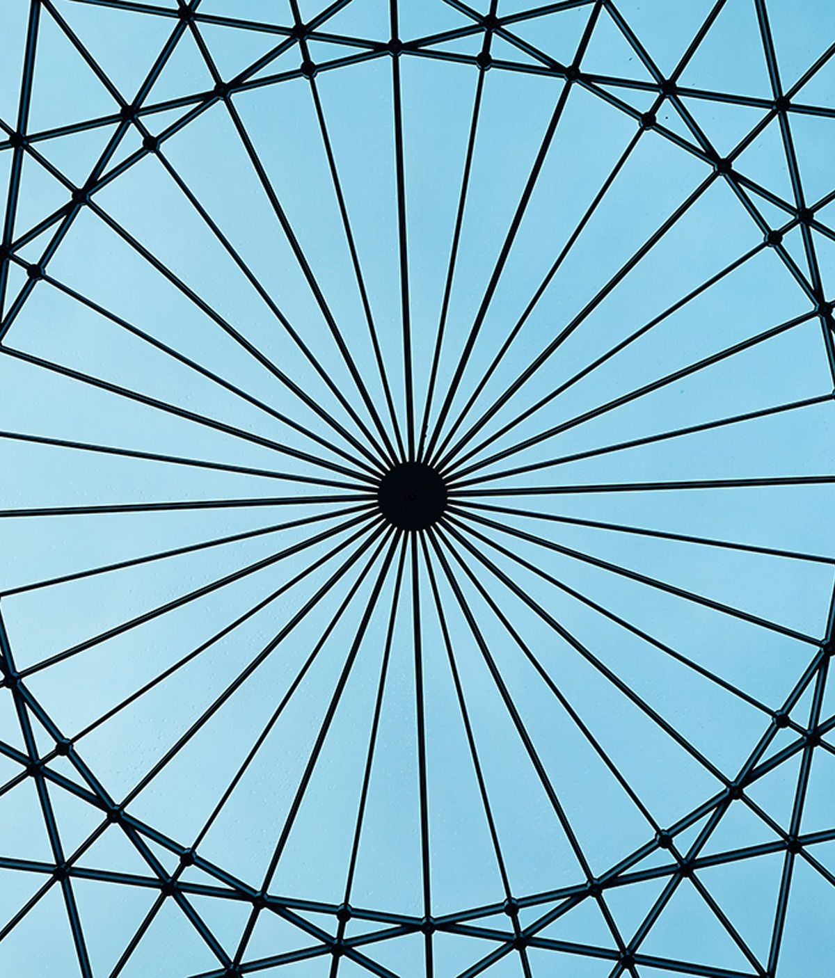 Weekly View - No red wave