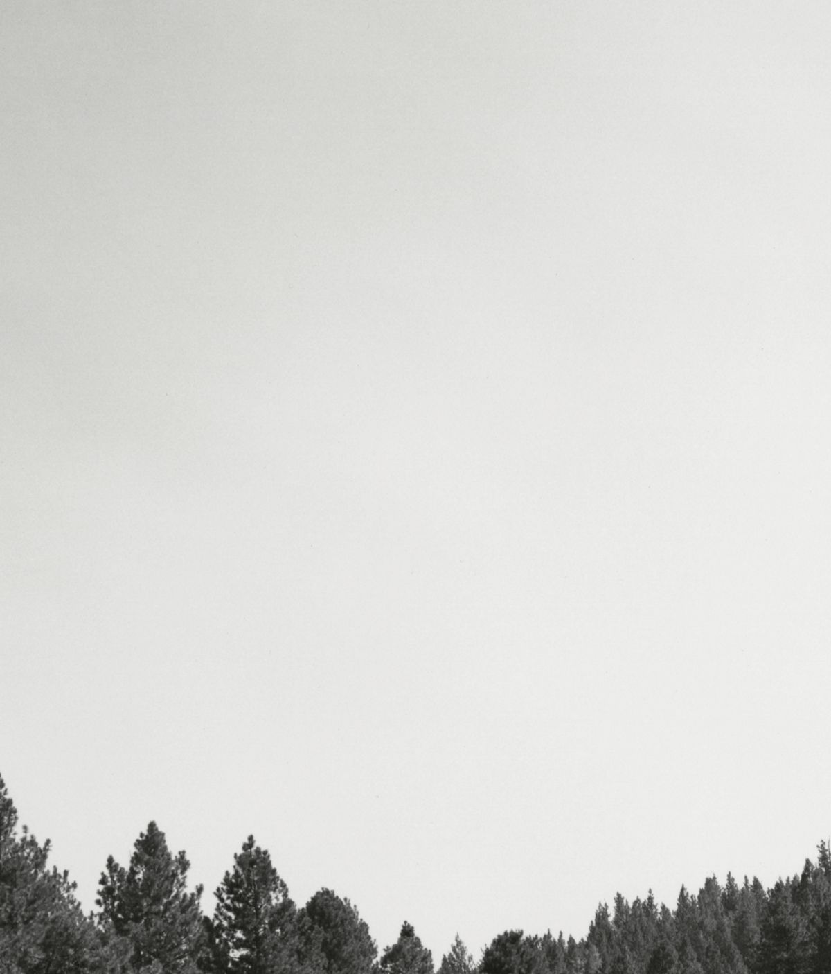 Turning Back | Robert Adams | Prix Pictet