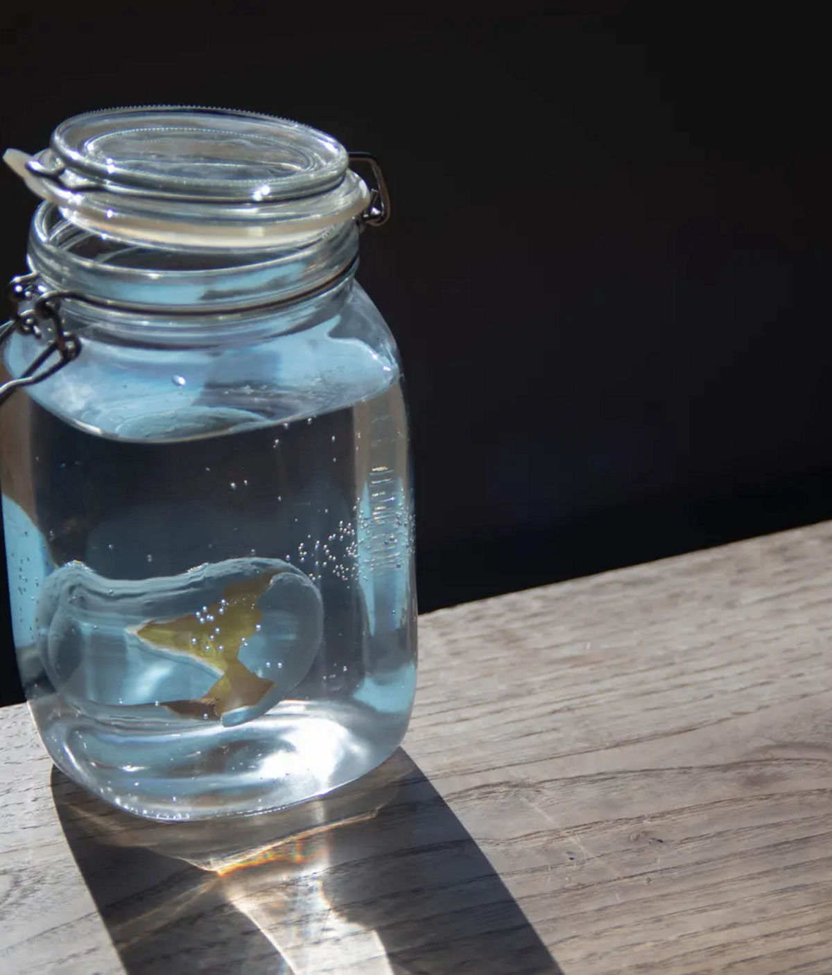 The Prix Pictet launches new Guardian series | Prix Pictet