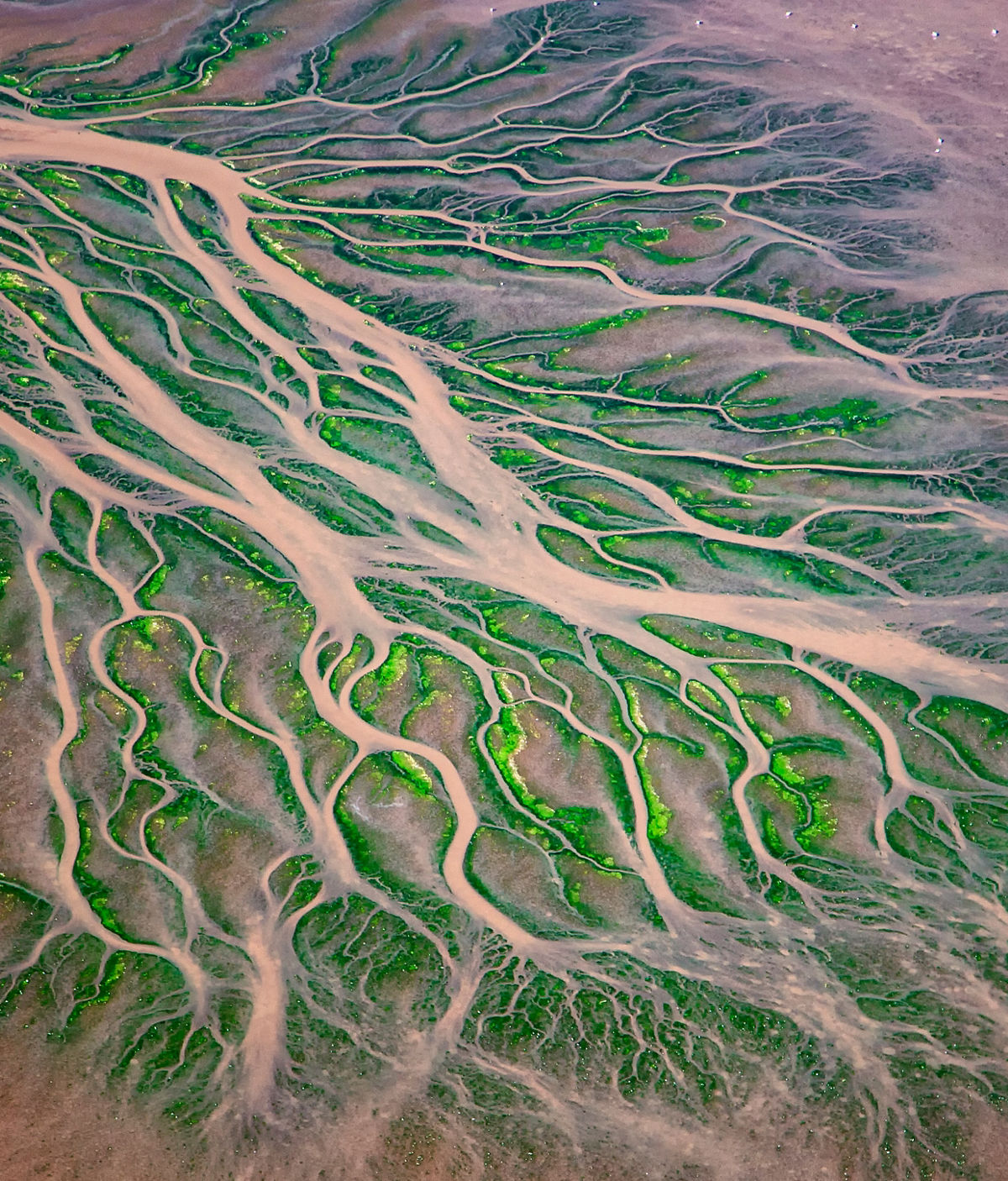 Private equity and sustainability: from measurement to improvement