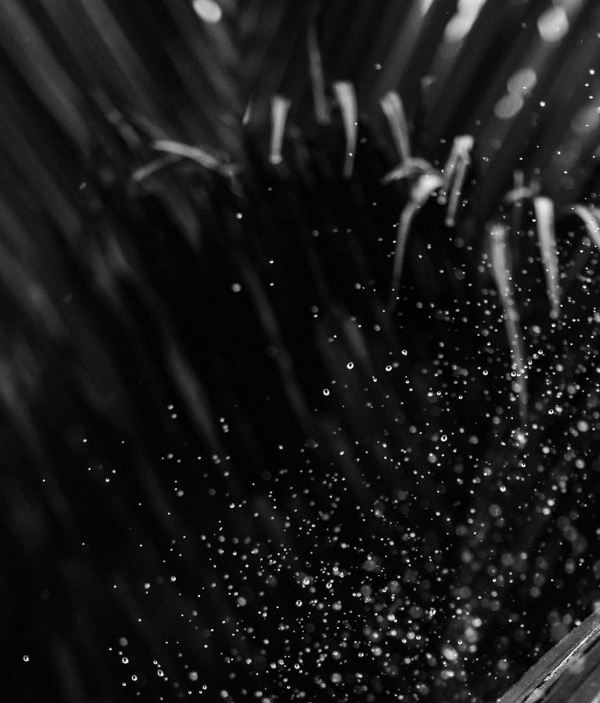 Barometer: Crisis contained but more economic pain in store