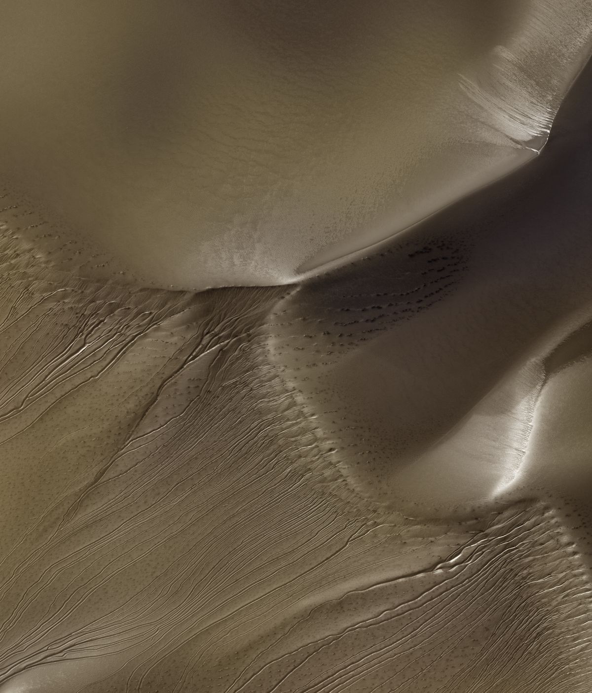 ma.r.s | Thomas Ruff | Prix Pictet