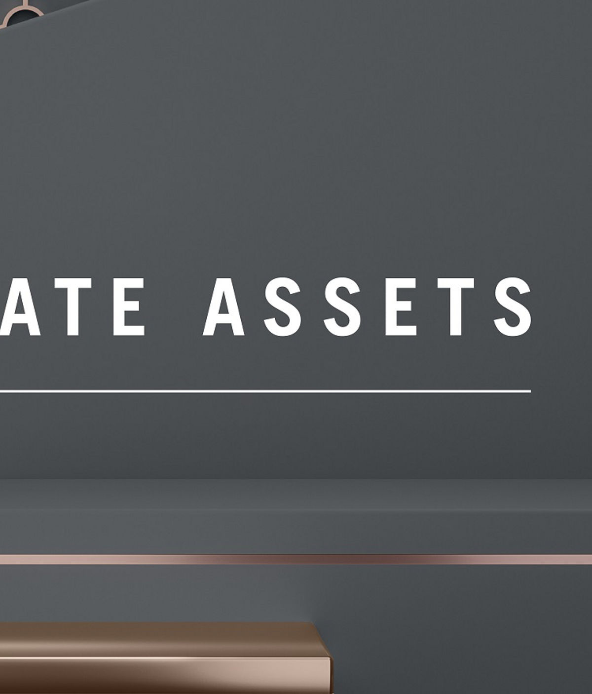 Private Assets, the ultimate form of active management: Myth or Reality ...