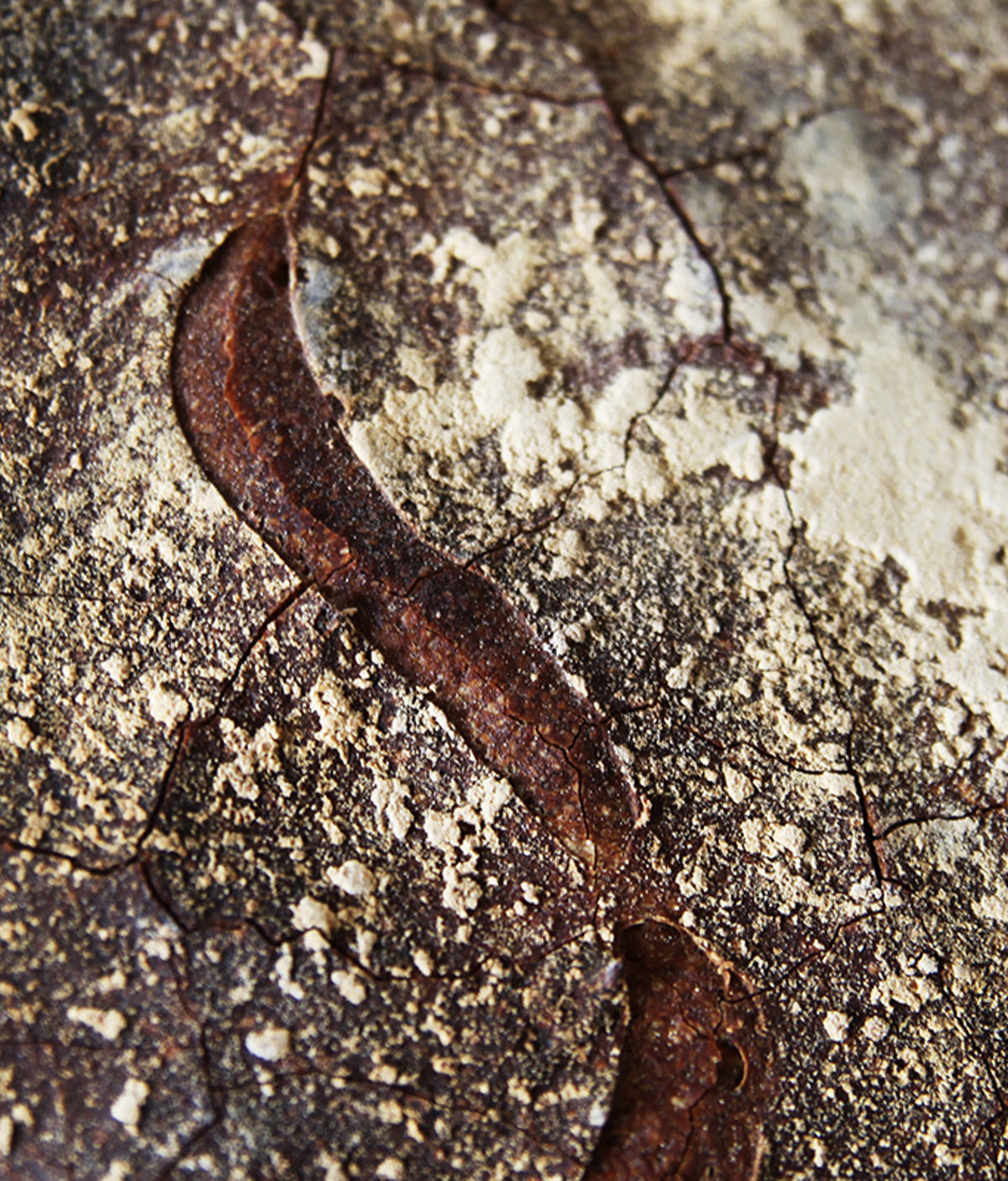 Taking over the family boulangerie business | Pictet