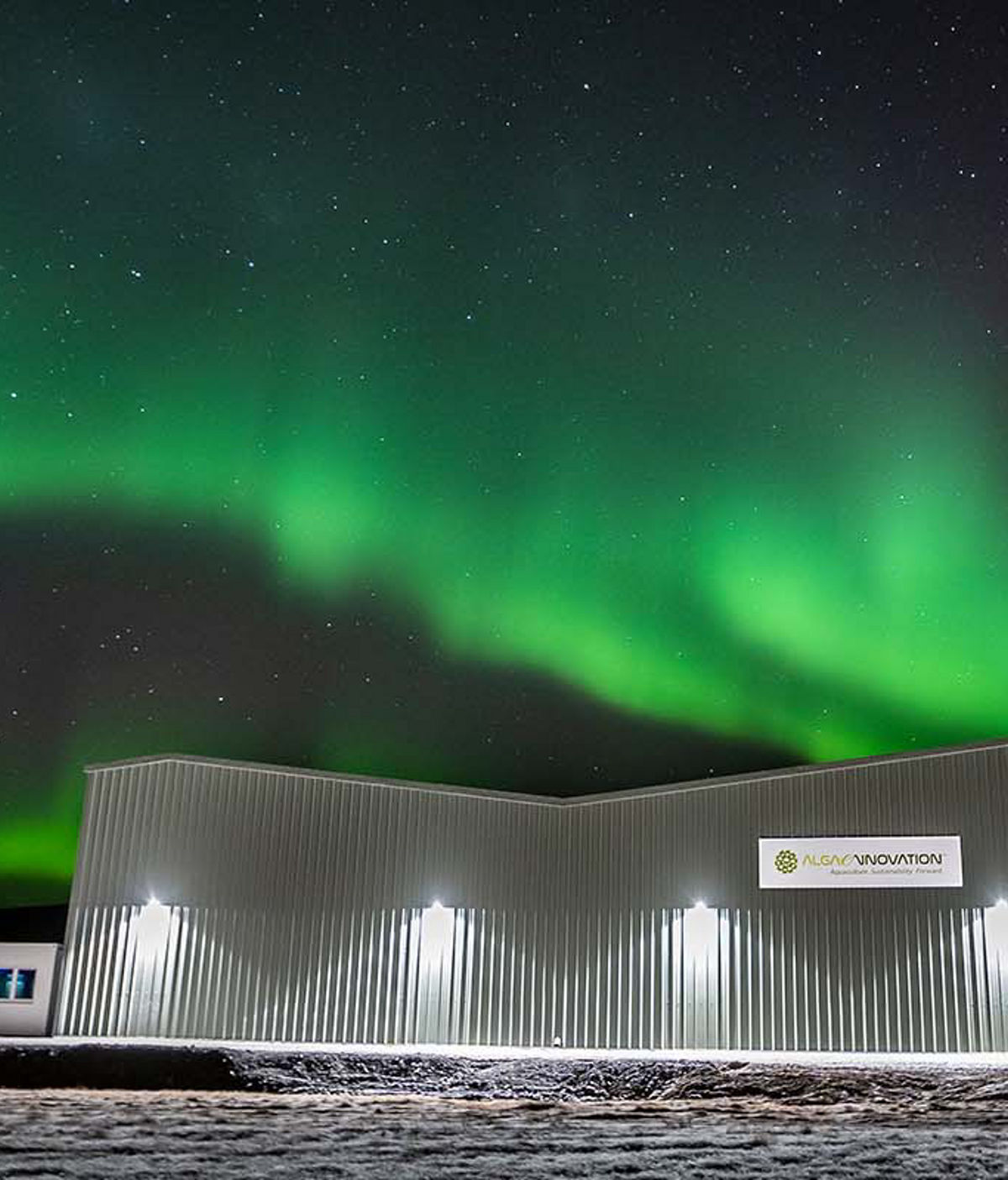 Creating sustainable food from algae | The Pictet Group