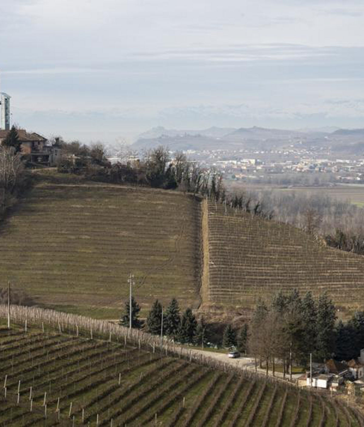 The success of Gaja’s winery is built around tradition and innovation ...