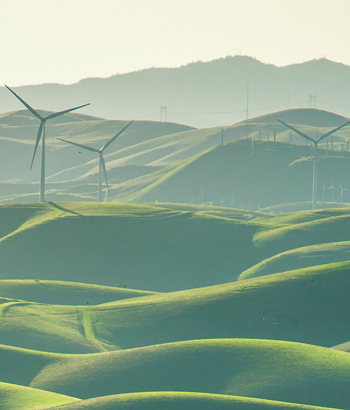 The global journey to net-zero could create a historic investment ...