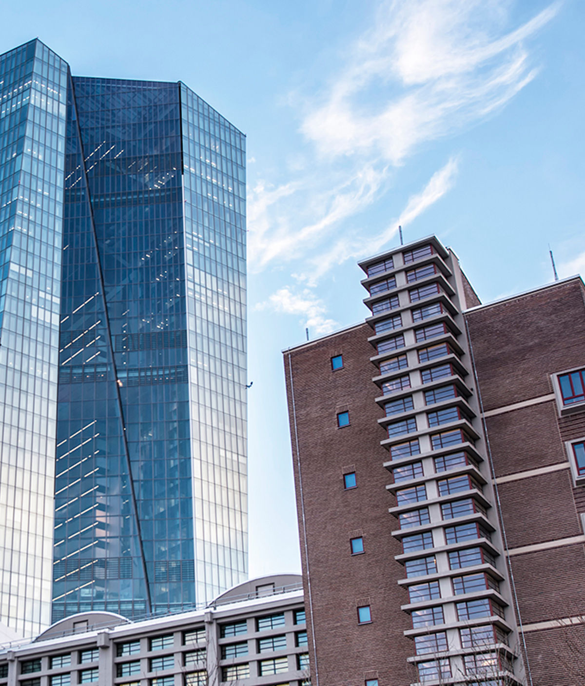 The future of the ECB’s quantitative easing