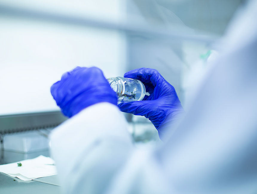 Revelan el origen del cáncer de pulmón microcítico más agresivo