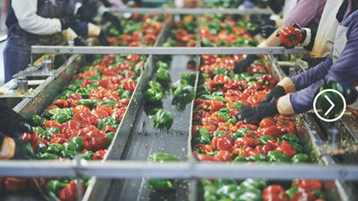 Food Loss and waste | Tetra Pak