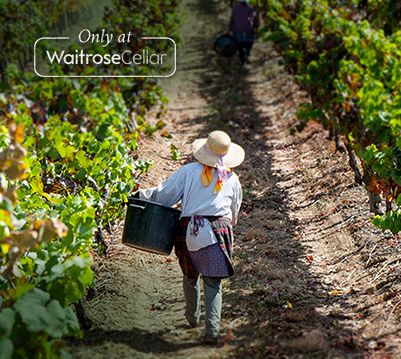 Waitrose Wine - Quality Red & White Wine - Waitrose Cellar